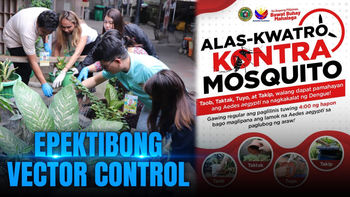 DOH: Kampanya Kontra Dengue, Epektibo sa Pagbawas ng Kaso | GNN