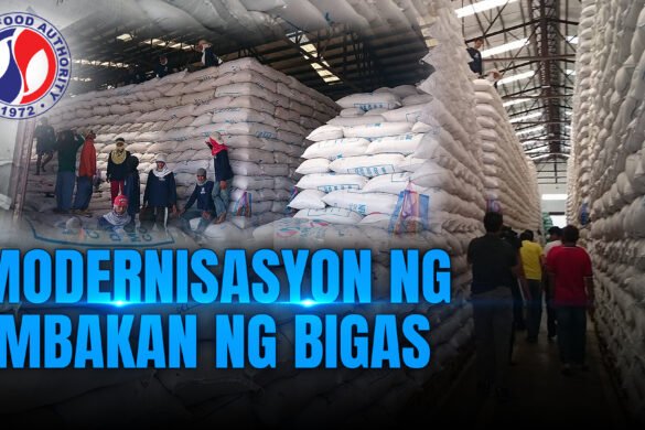 "The Last Resort": Daisy Ridley at Alden Ehrenreich sa Rom-Com | GNN